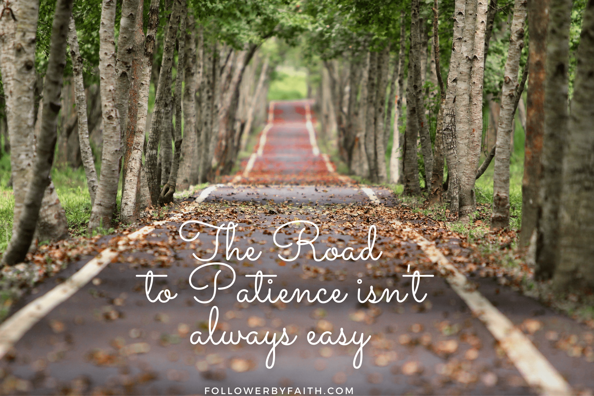 Have Patience with the Holy Spirit Devotional » Follower by Faith