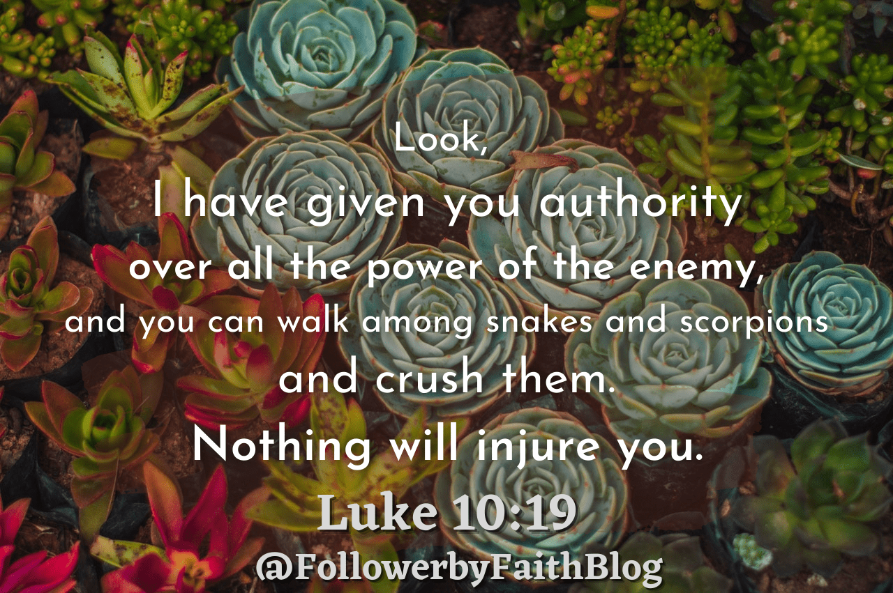 Weathering Through Your Spiritual Drought » Follower by Faith